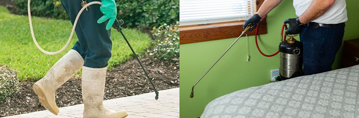 AZ Pest Solutions Inc is a Pest Control Company in Tucson, AZ 85741